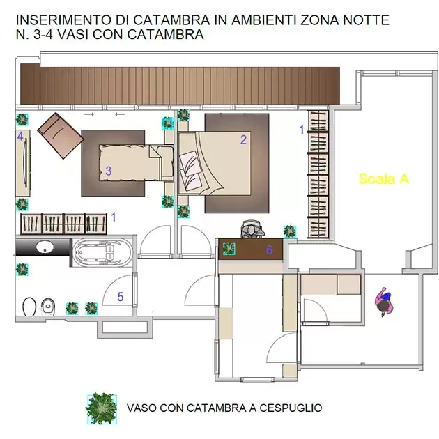La Catambra ti assicura una naturale protezione da zanzare