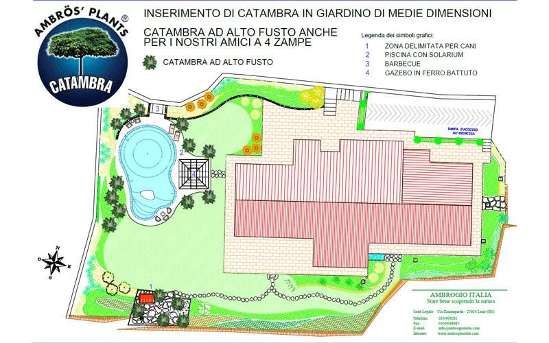 La pianta contro le zanzare è l'unico rimedio naturale