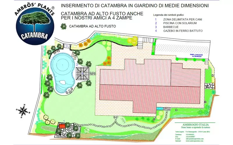 Consigli per mantenere la pianta anti zanzare Catambra